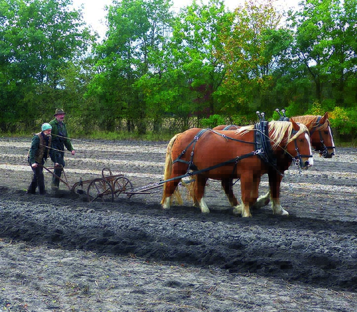 Lebensräume – Wassermühle Karoxbostel