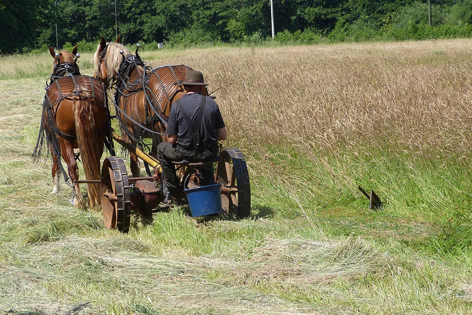 Lebensräume – Wassermühle Karoxbostel